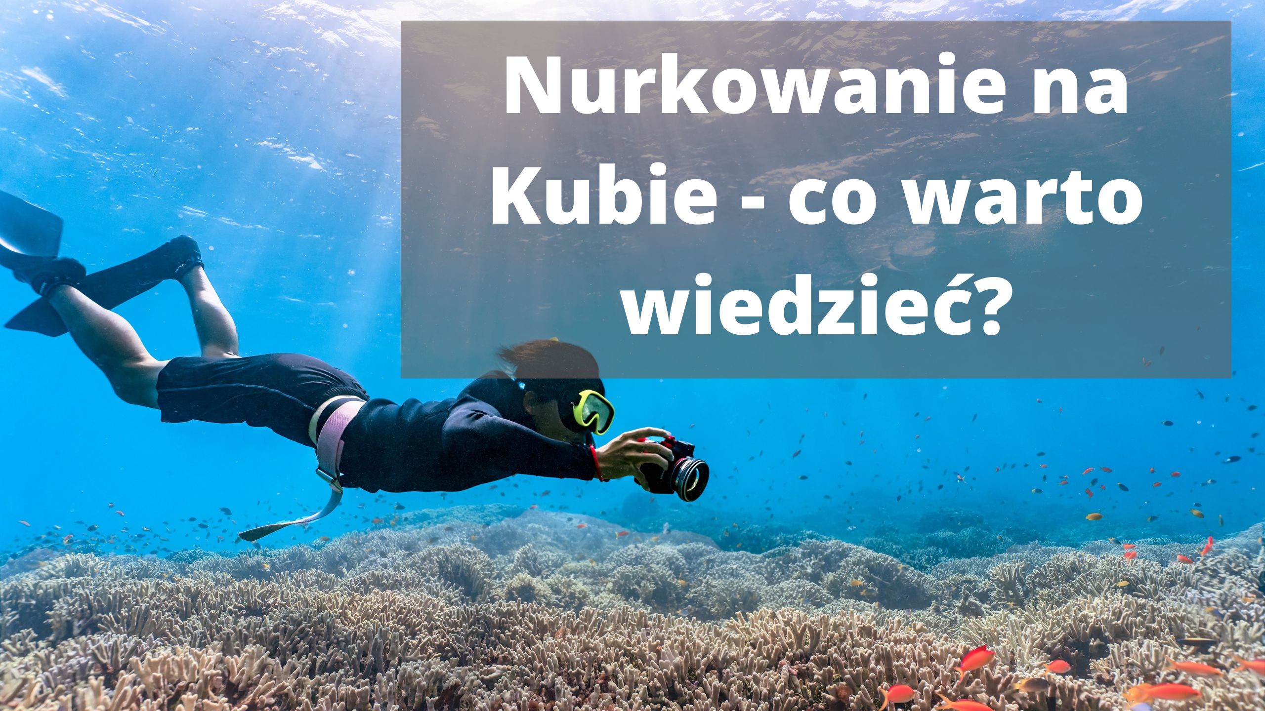 🐠 Nurkowanie na Kubie 🇨🇺 - co warto wiedzieć? | MyKuba